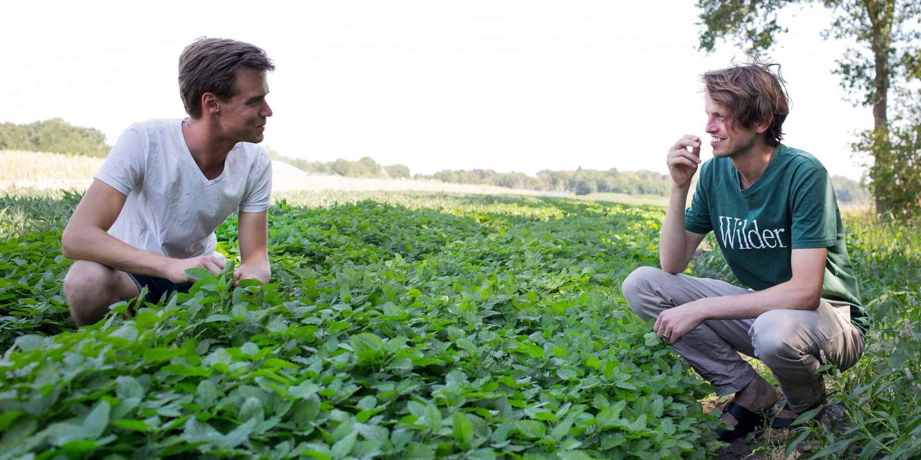 Wilder Land thee brengt boer en biodiversiteit verder | Triodos Bank