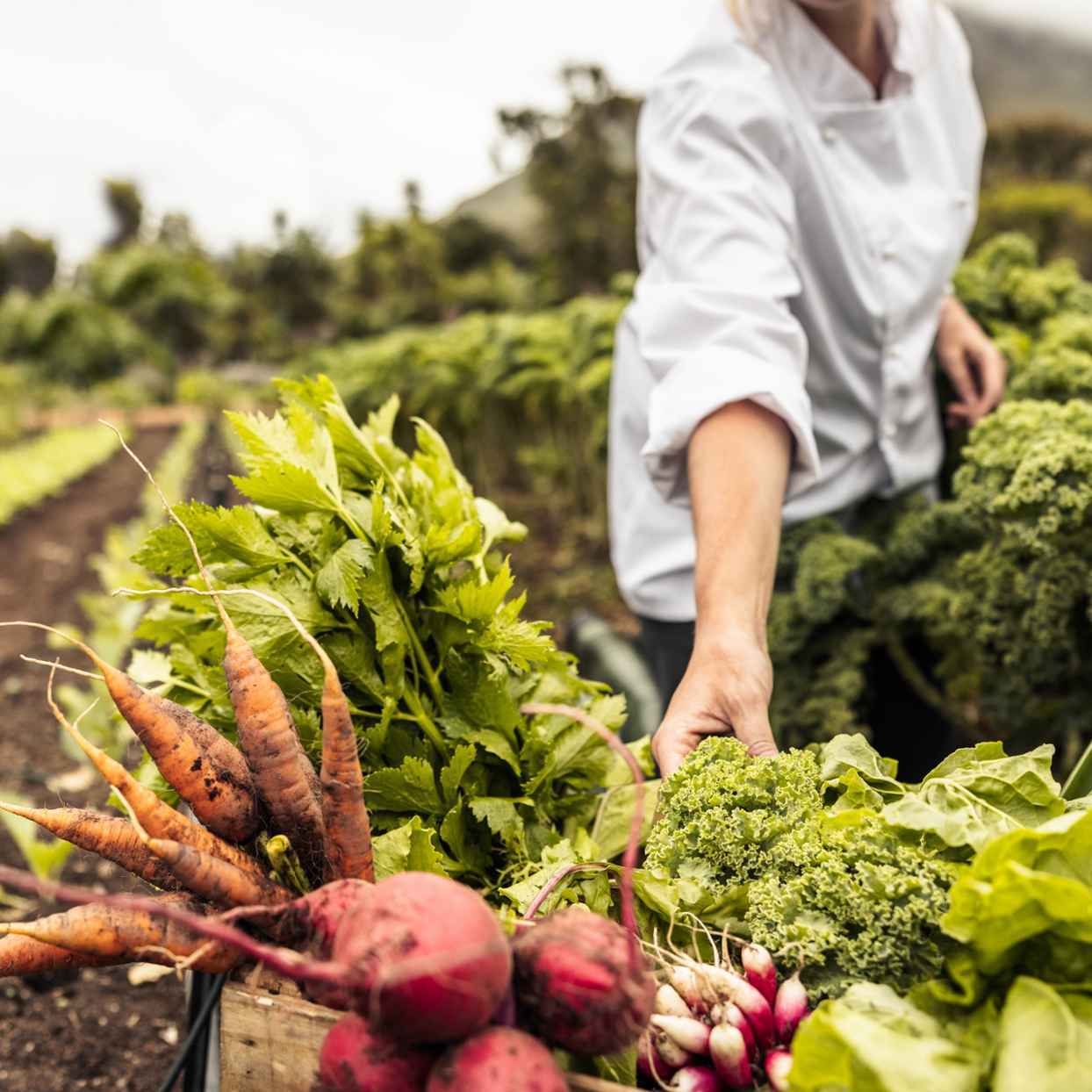 Is biologische voeding gezonder?